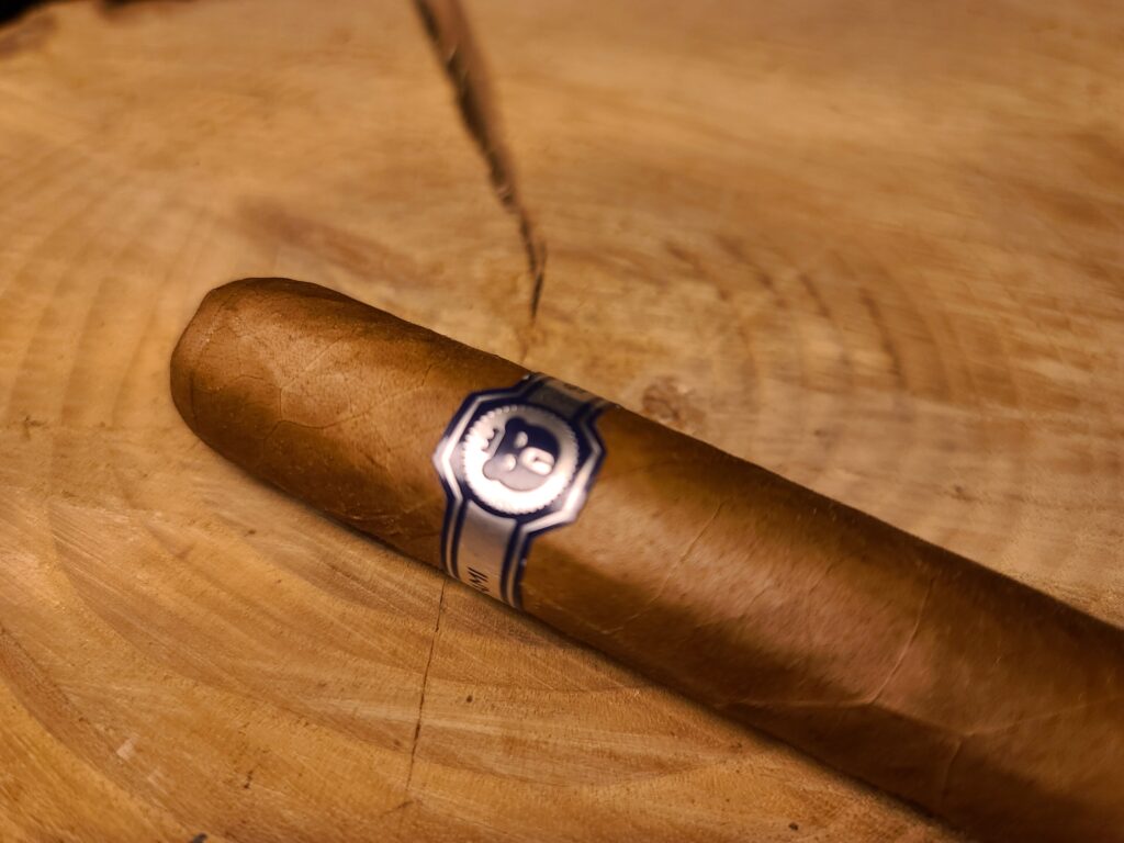 Cigar Review: El Oso Blanco from Warped Cigars - Simply Stogies - A ...